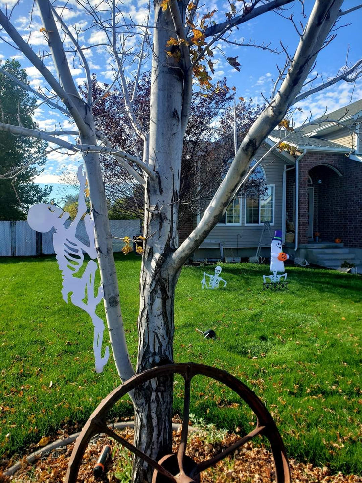 Skeleton Package – Fergeson Custom Fabrication