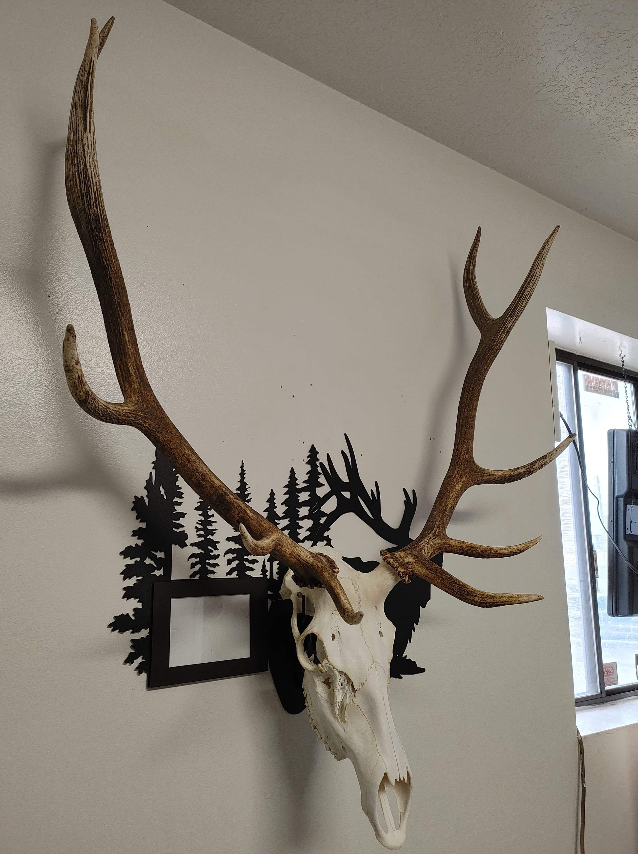 Elk European Mount Stand